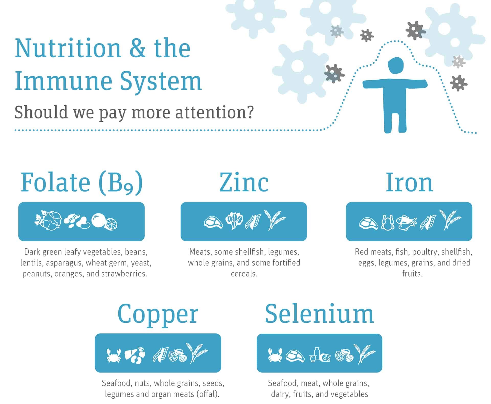 The Role of Nutrition in the Immune System | Part II of II - Sight and Life