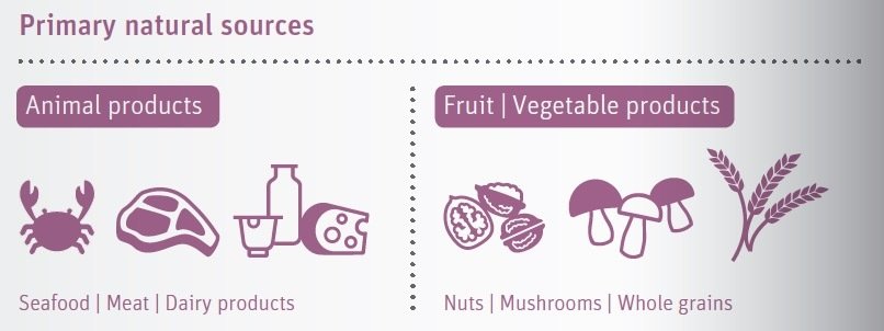Introducing Selenium - Sight and Life